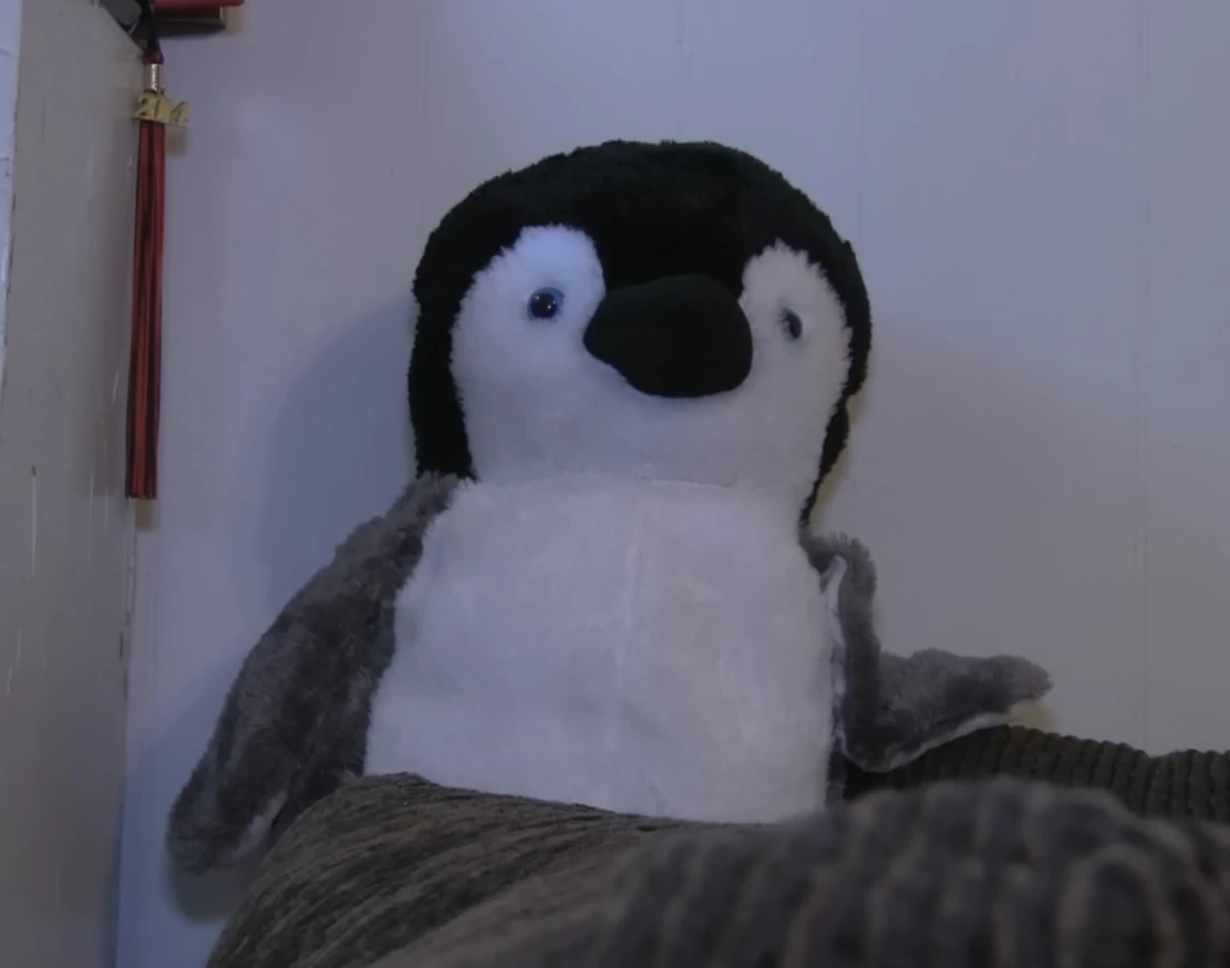 Penny | Talking Kitty Cat Wikia | Fandom