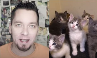 Steve Cash | Talking Kitty Cat Wikia | Fandom