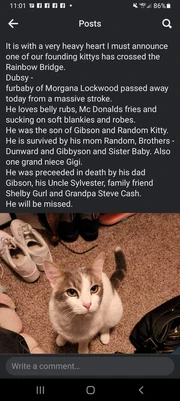 Dubsy | Talking Kitty Cat Wikia | Fandom