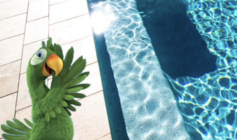 Pool Party | Talking Tom and Friends Fanon Wiki | Fandom