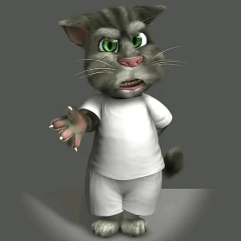 Talking Tom 2 | Talking Tom & Friends Wiki Brasil | Fandom