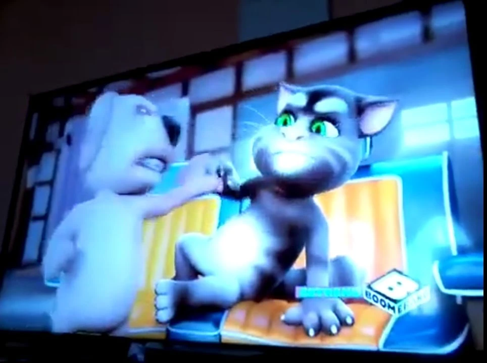 Talking Tom and Friends (Cartoon Network and Boomerang Broadcasts ...