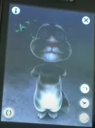 Tomcat (Talking Tom Cat Bootleg Samsung Galaxy Ace Port) | Talking Tom ...