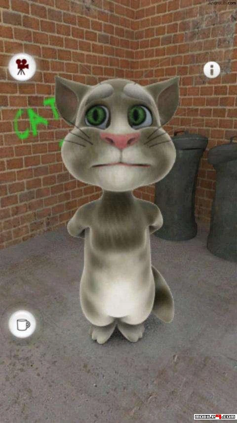 Talking Tom | Talking Friends Adventures Wiki | Fandom