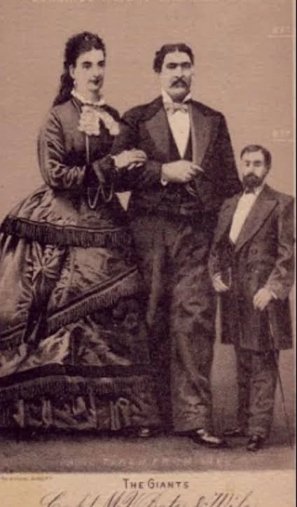 Anna Haining Bates (Neé Swan) | Tall Woman Wiki | Fandom