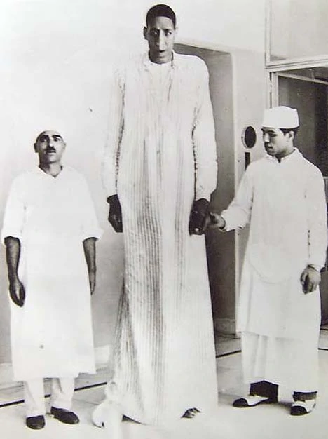Sa'id Muhammed Ghazi | Tallest People Wiki | Fandom