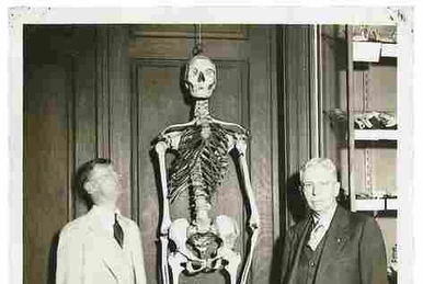 Jane Bunford Skeleton