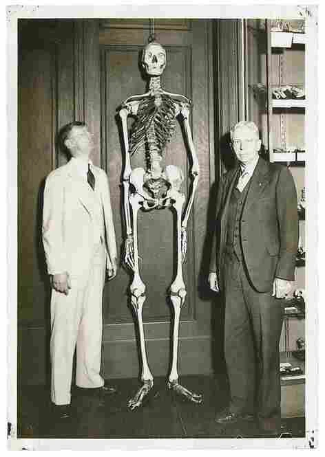 Giant People In The World