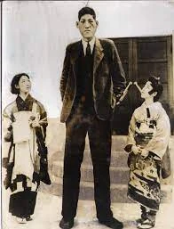 Kin Fu Ki | Tallest People Wiki | Fandom