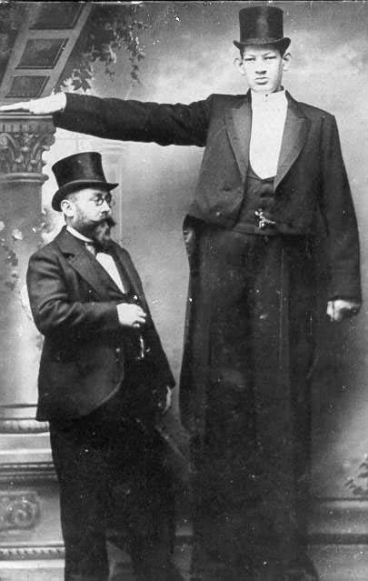 Julius Koch | Tallest People Wiki | Fandom
