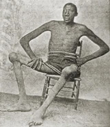 John Rogan | Tallest People Wiki | Fandom