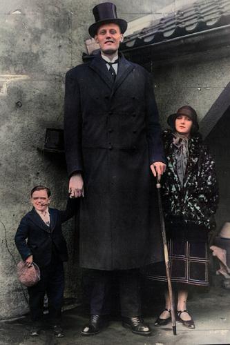 Albert Johan Kramer | Tallest People Wiki | Fandom