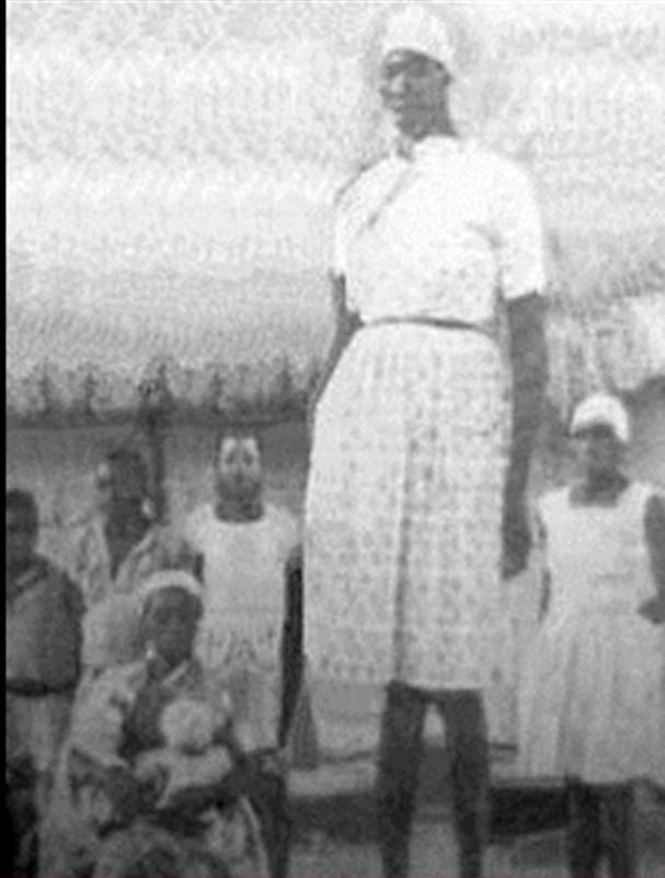 Mildred | Tallest People Wiki | Fandom