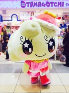 Coffretchi | Tamagotchi Wiki | Fandom