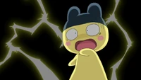 Mametchi/Anime Overview | Tamagotchi Wiki | Fandom