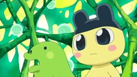 Mametchi/Anime Overview | Tamagotchi Wiki | Fandom