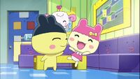 Chamametchi | Tamagotchi Wiki | Fandom