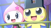 Himespetchi | Tamagotchi Wiki | Fandom