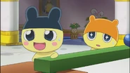 Mamemametchi | Tamagotchi Wiki | Fandom
