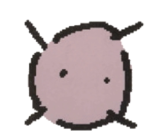 ChibiUnitchi | Tamagotchi Wiki | Fandom