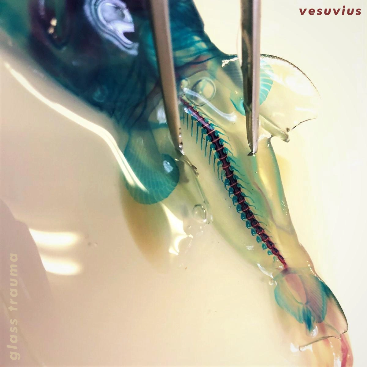 Glass Trauma | Tamaria Wiki | Fandom