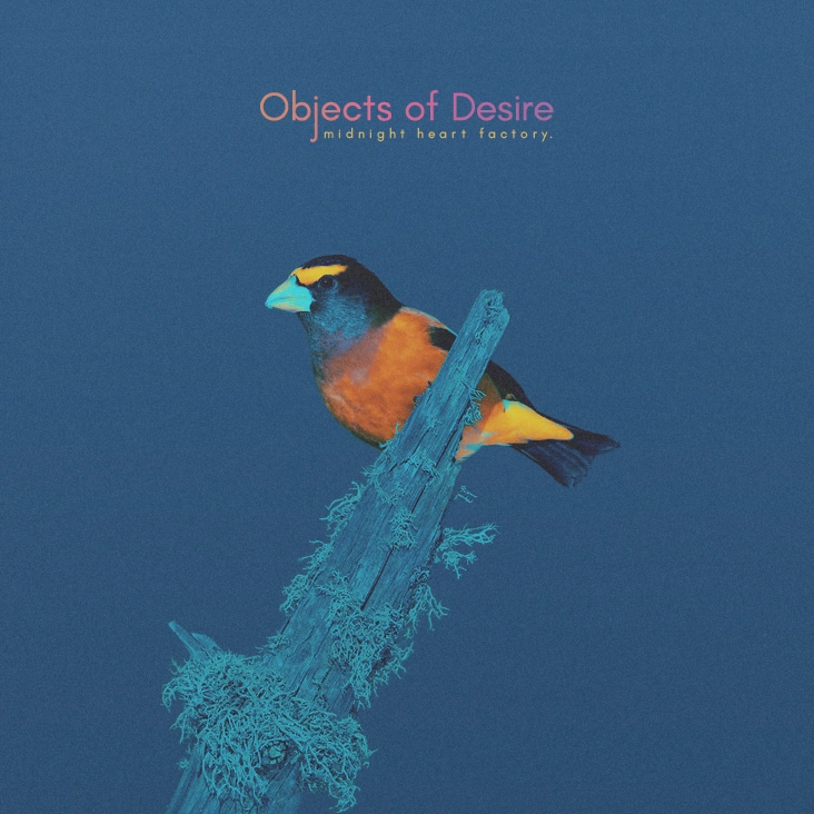 Objects of Desire | Tamaria Wiki | Fandom