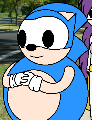 Fat Sonic The Hedgehog
