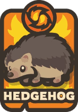 how to make hedgehog tame