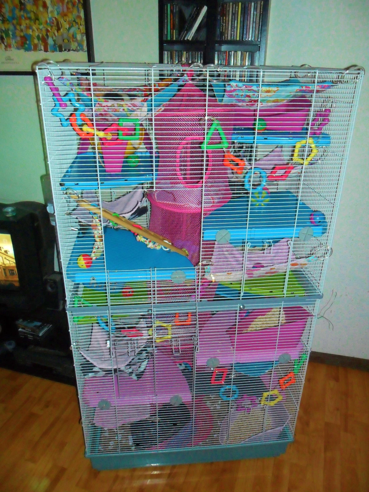 Ferplast Jenny Tower | Tamme Ratten wiki | Fandom