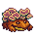 Fungal Toad | Tangledeep Wiki | Fandom