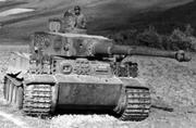 Tiger 1 | Tank Wiki | Fandom