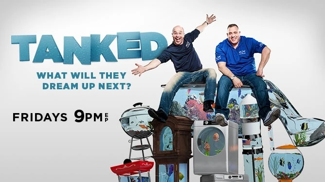 Tanked Wiki | Fandom