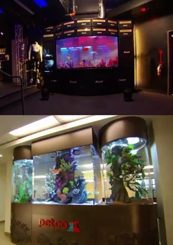 Where the Wild Things Are | Tanked Wiki | Fandom