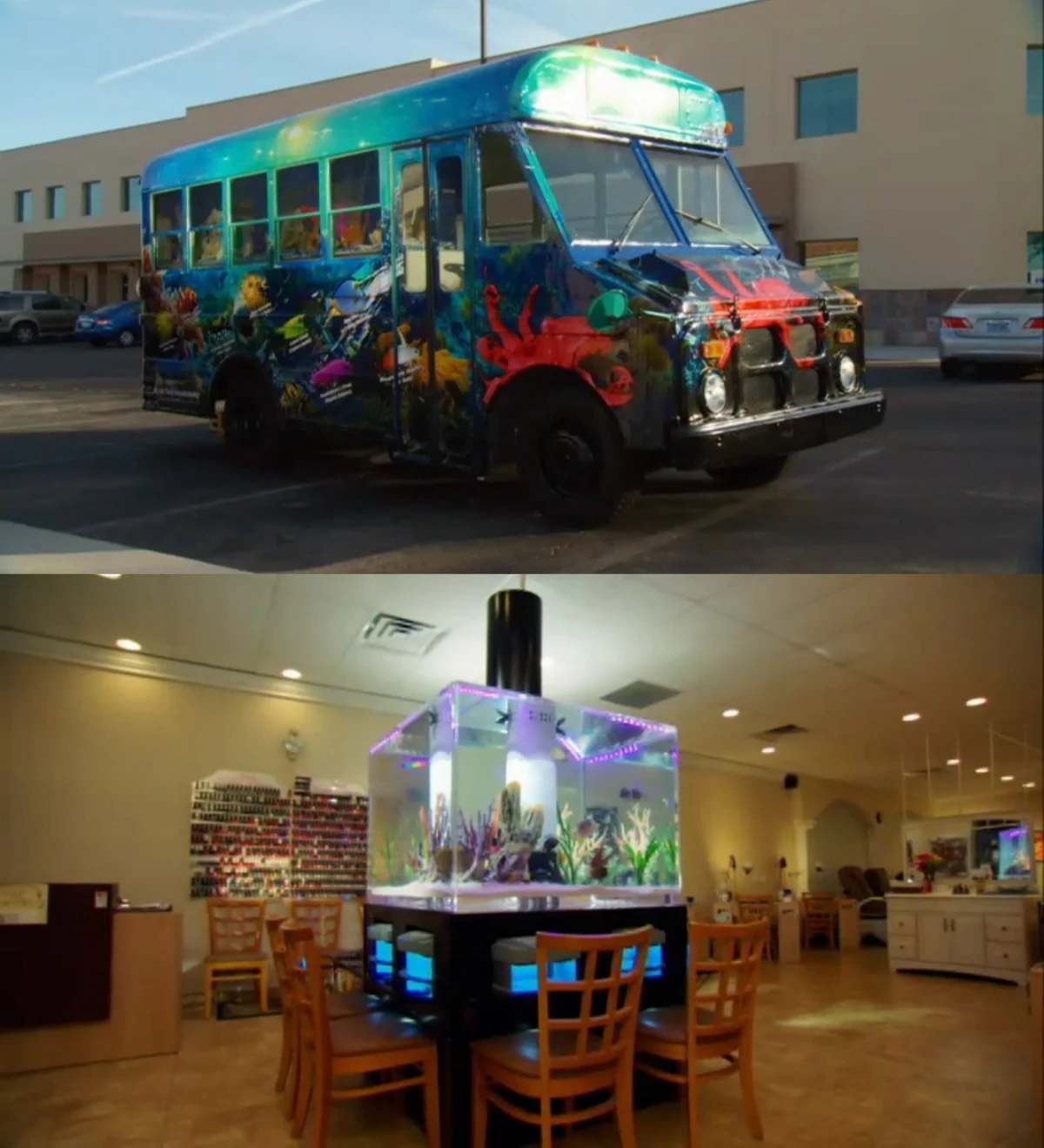 Roll With It | Tanked Wiki | Fandom