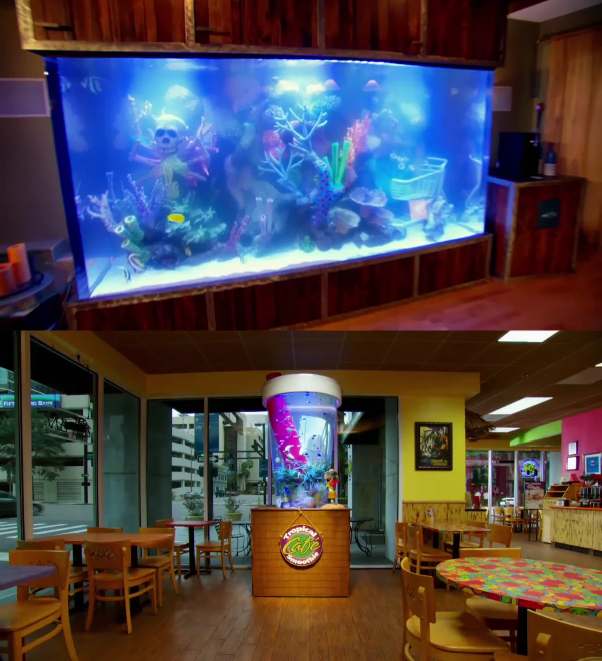 Pranks and Dranks! | Tanked Wiki | Fandom