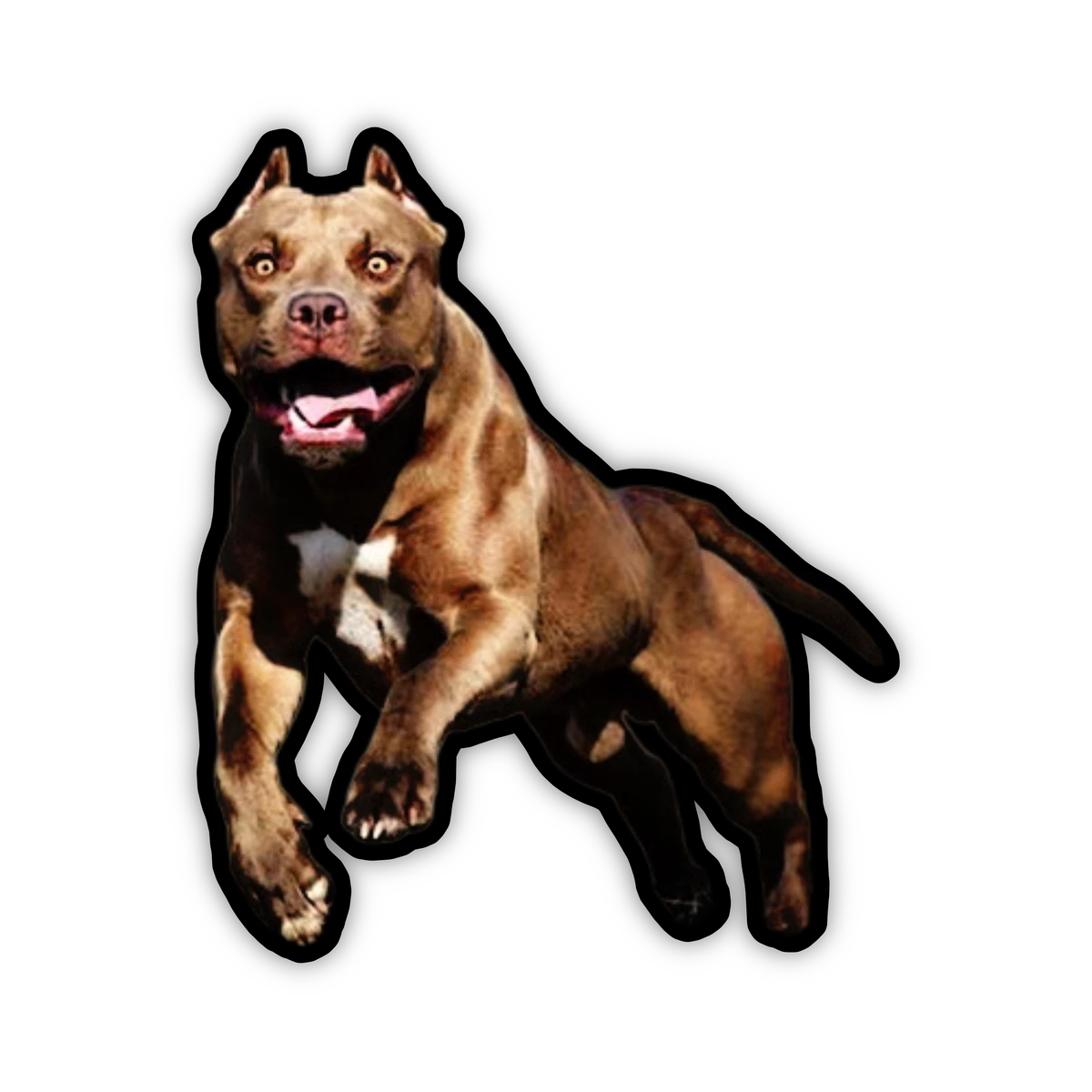 Pitbull (Real World) | TankMaster Battles Wiki | Fandom