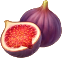 Fig | Taonga Island Adventure Wiki | Fandom