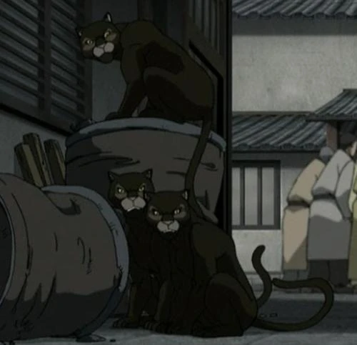 Pygmy Puma | TapZooAnimals Wiki | Fandom