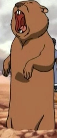 Singing Groundhog | TapZooAnimals Wiki | Fandom