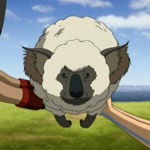 Koala Sheep | TapZooAnimals Wiki | Fandom