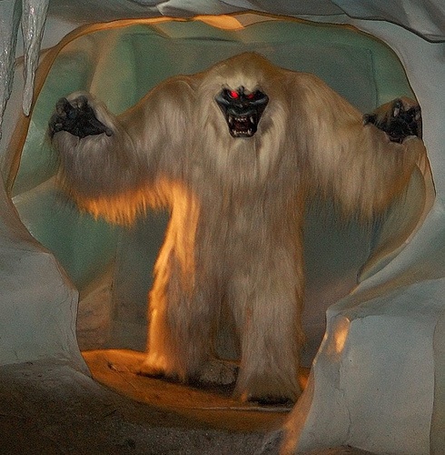 Yeti | TapZooAnimals Wiki | Fandom