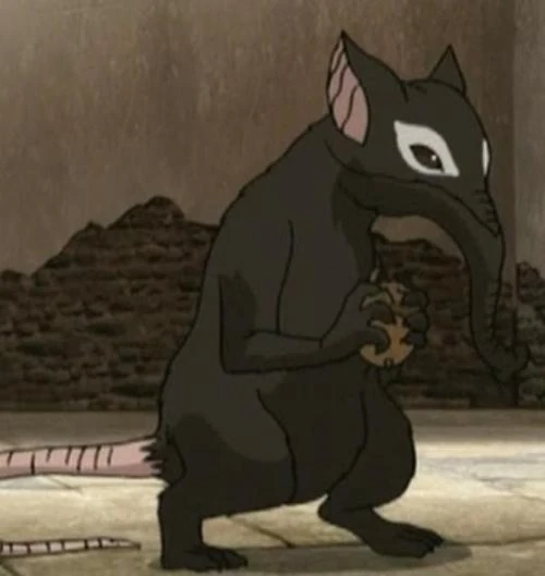 Elephant Rat | TapZooAnimals Wiki | Fandom