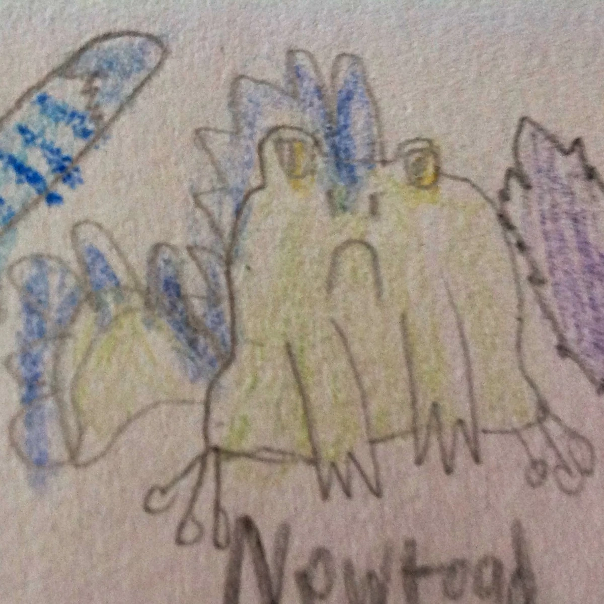 Newtoad | TapZooAnimals Wiki | Fandom