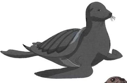 Turtle Seal | TapZooAnimals Wiki | Fandom