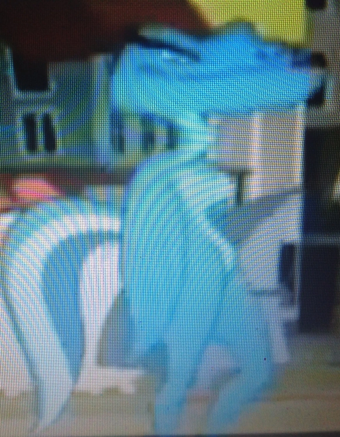 Flying Flog | TapZooAnimals Wiki | Fandom