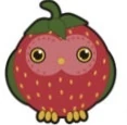 Strawberry Owl | TapZooAnimals Wiki | Fandom