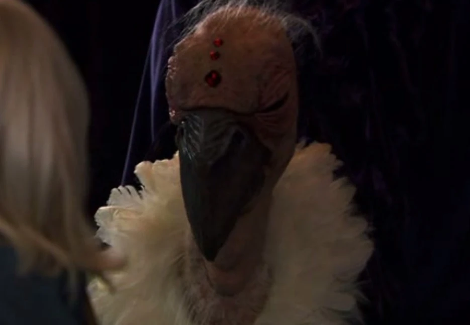 Amaranth of the Claw Shansheeth | Tardis | Fandom