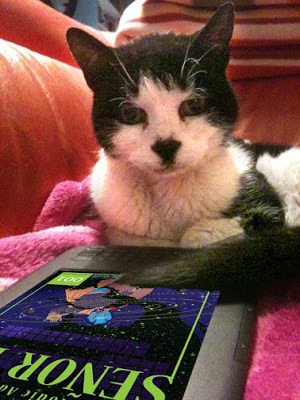 Guest Post - Cody Quijano-Schell and Fester Cat (short story) | Tardis ...