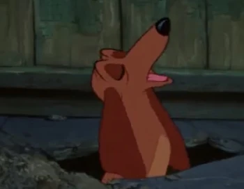 Dachsie | Tardis | Fandom