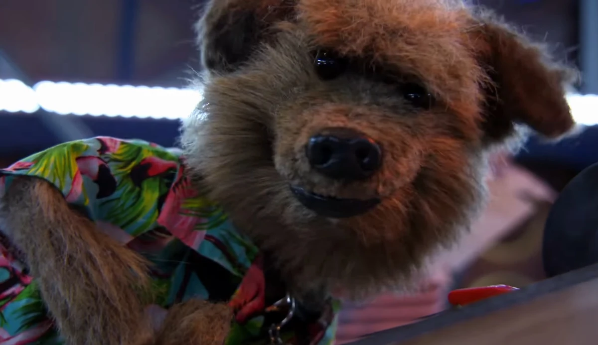 Hacker T Dog | Tardis | Fandom